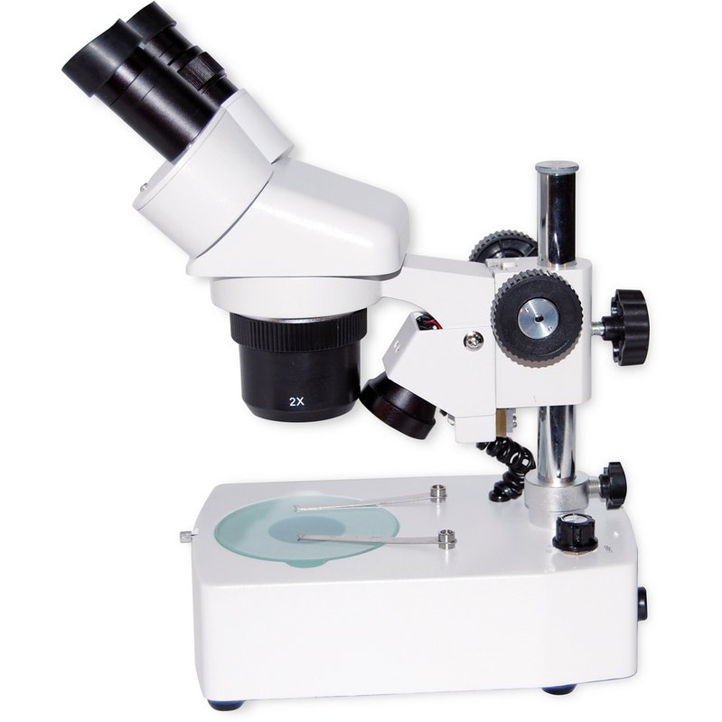 Binocular Microscope ZTX-20 (10x; 2x/4x) - ToolBoom